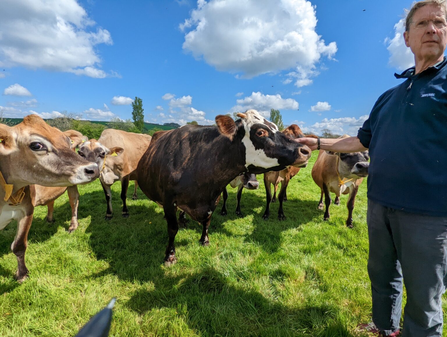 Modbury Farm near Burton Bradstock diversifies over the centuries - The ...