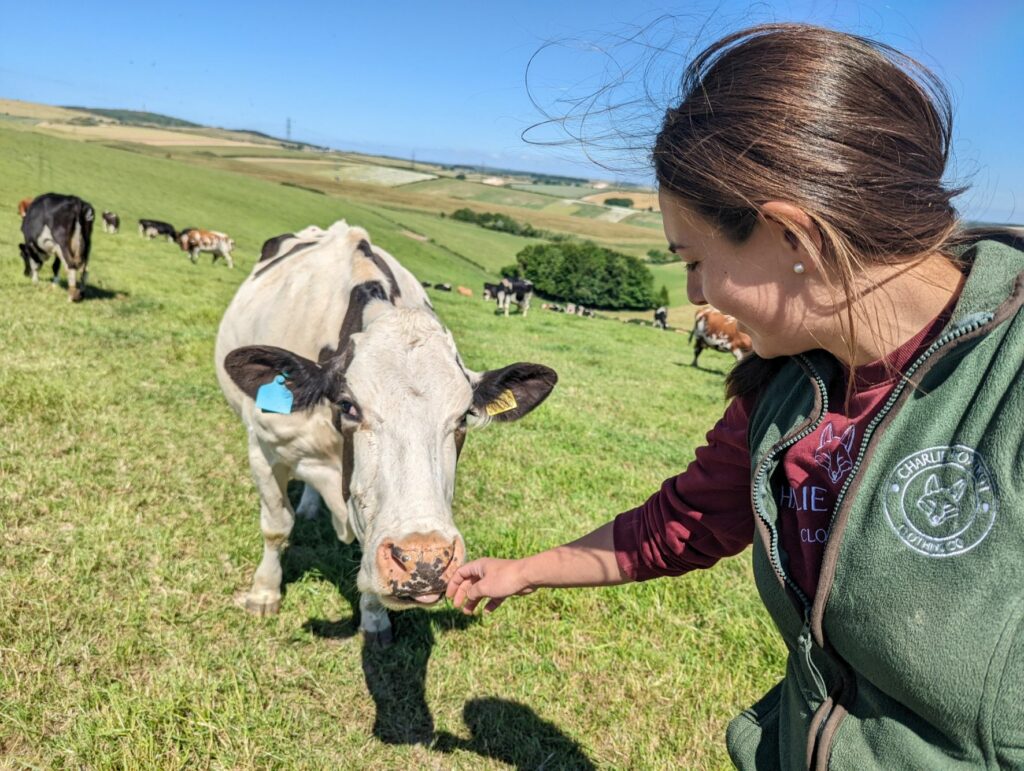 Milkshakes and Astroturf: Eweleaze Farm in Martinstown has a unique ...