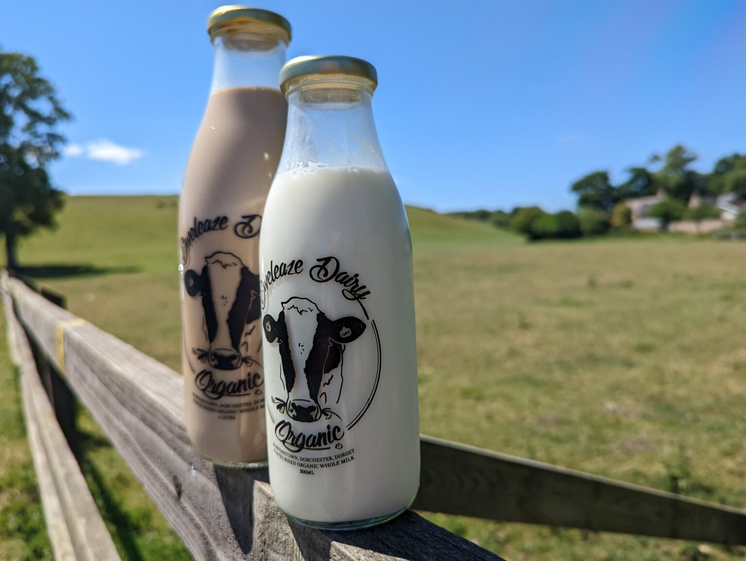 Milkshakes and Astroturf: Eweleaze Farm in Martinstown has a unique ...