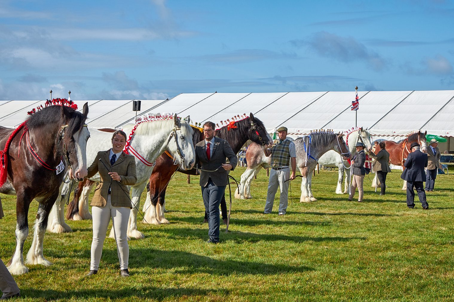 The magic of Melplash Agricultural Show will be returning to West Bay ...