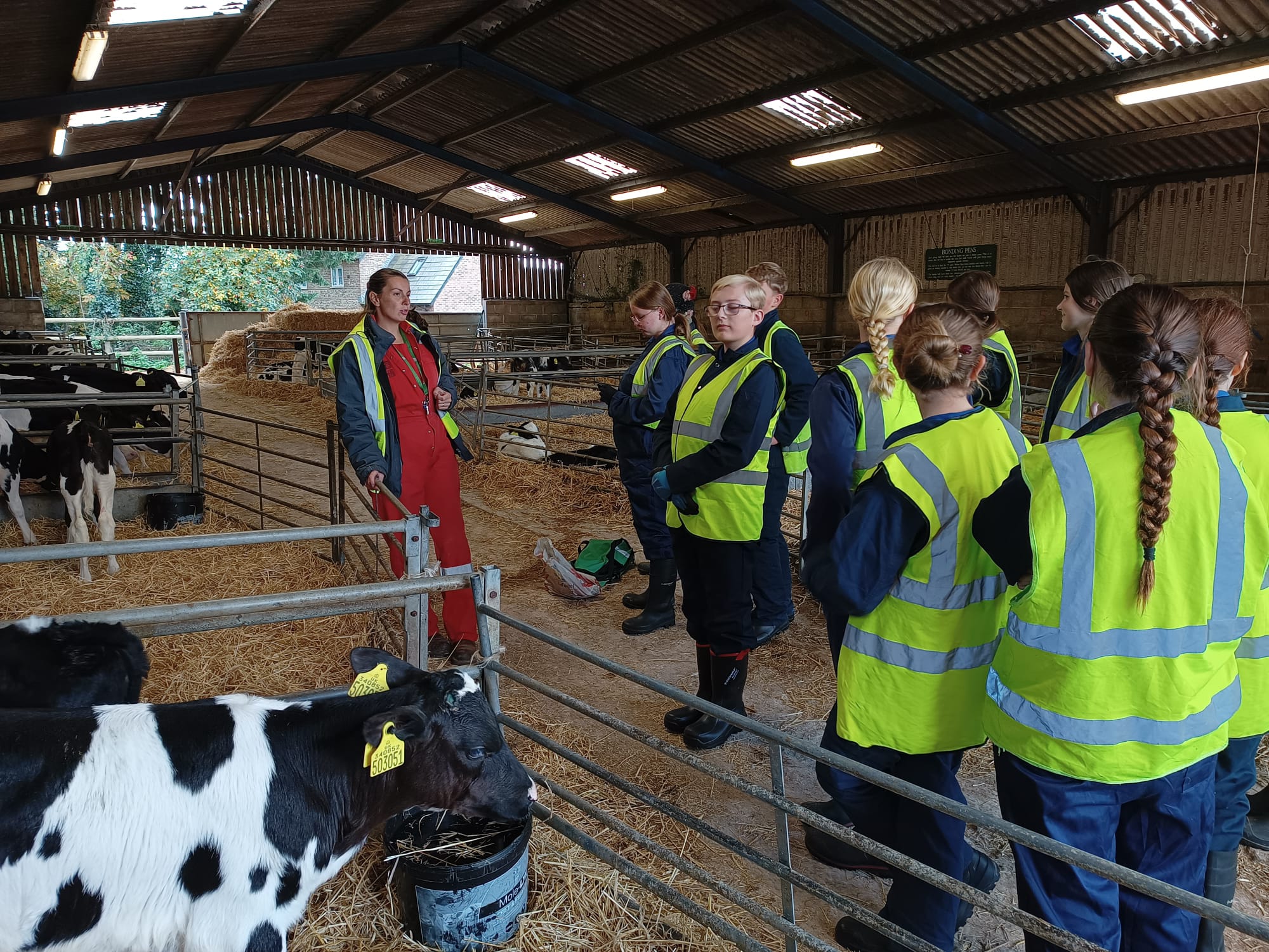 Dorset Studio School: where the county is a classroom, and learning is ...